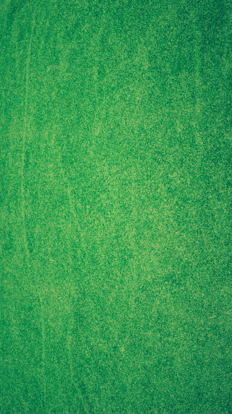 Liveticker: Münster - Dresden | 2. Bundesliga 9. Spieltag 2025/2026 ...